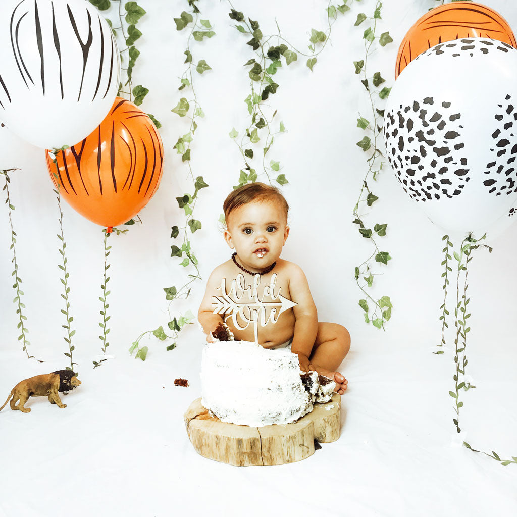 Wild ONE smash Cake kit - New product alert – The Wild Ones